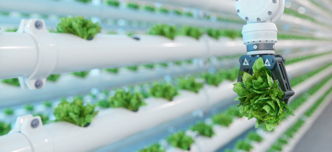 Revolutionising agriculture: The future of farming with insights ...